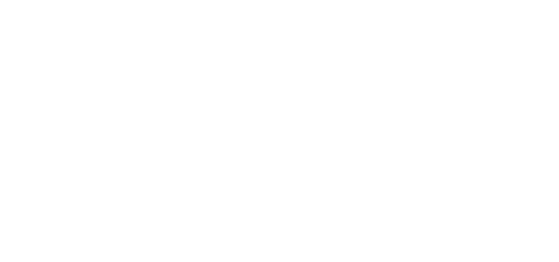 GUARDIAN FORESTAL PFA